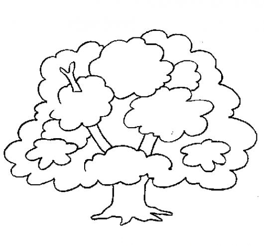 Ceiba Para Colorear Coloring Tree Symbols Guatemala Imagen National ...