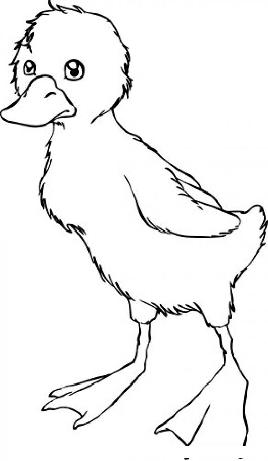 Página Para Colorear Del Patito Feo Cuento Para Colorear El Patito